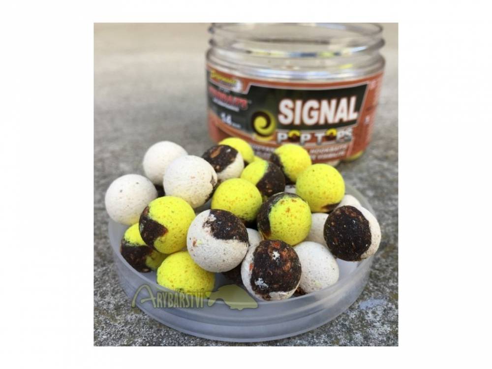 STARBAITS Boilies CONCEPT Pop Tops 60 g Signal - Arybářství